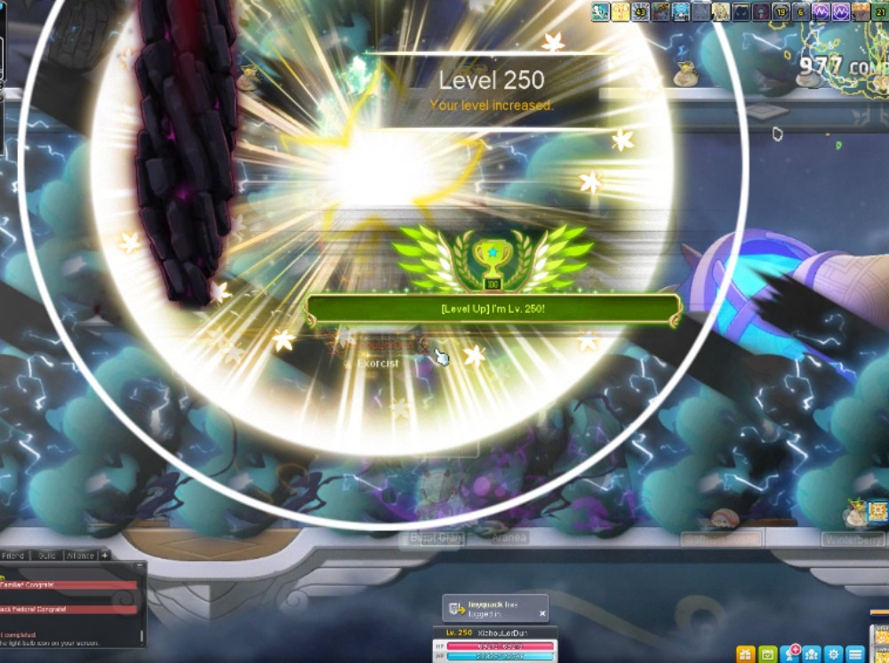 First level 250 - FXP