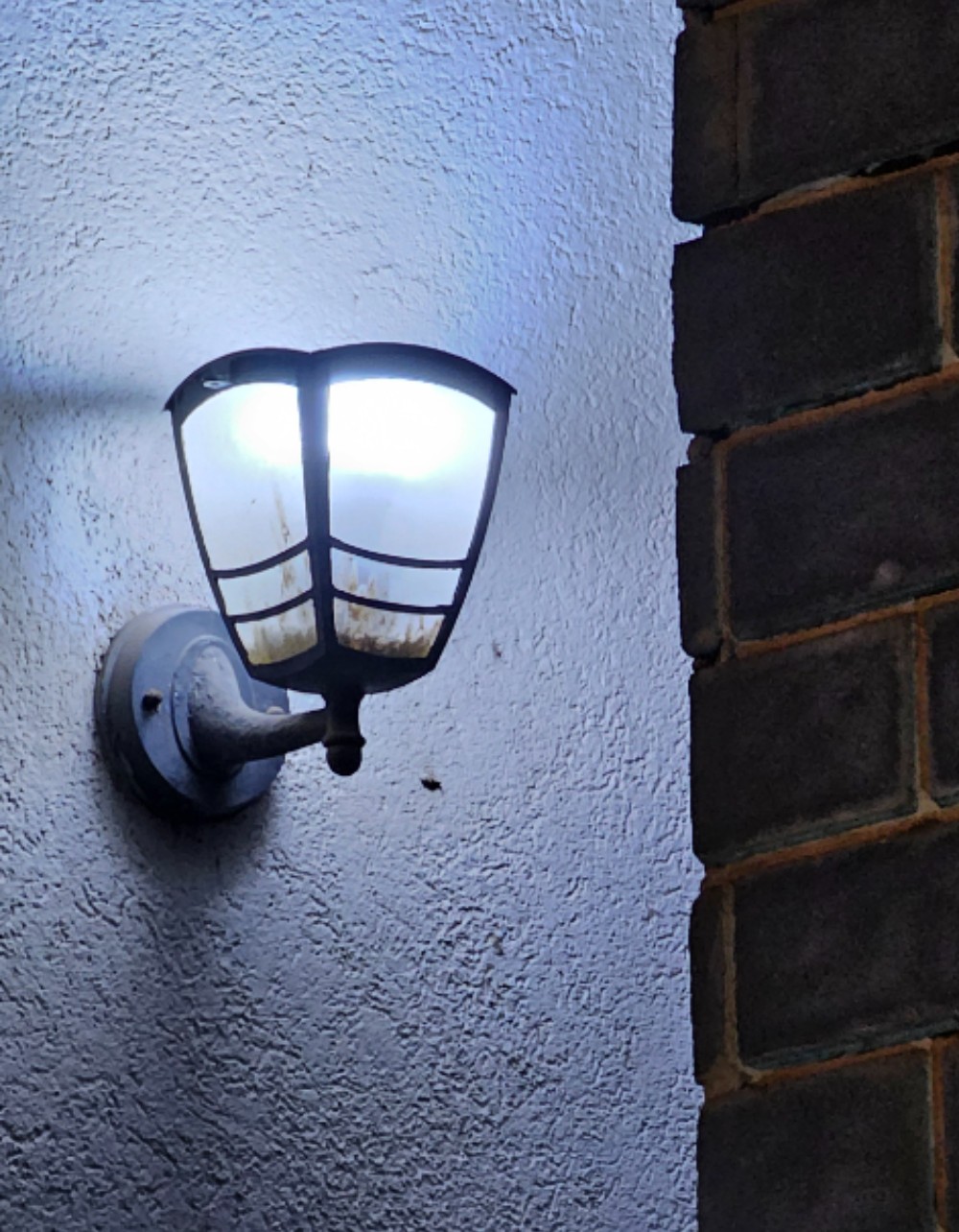 ממשיך להתלהב מהמצלמה של הסמארטפון שלי (23) - FXP