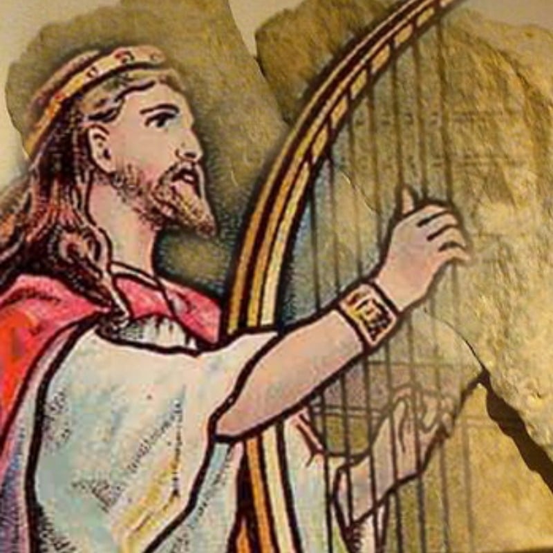 צפה בפרופיל: david hamelech - FXP