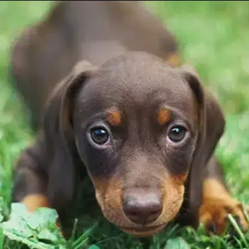 רוצים לצפות ביחד איתנו בפרק ? - FXP