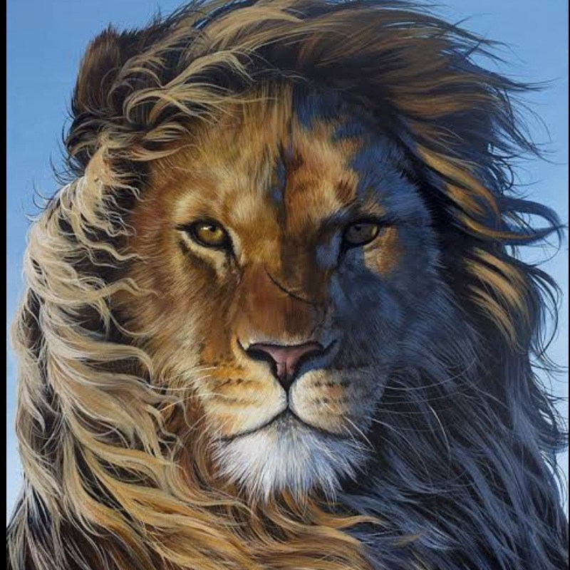 טופ 10 בכל הזמנים - FXP