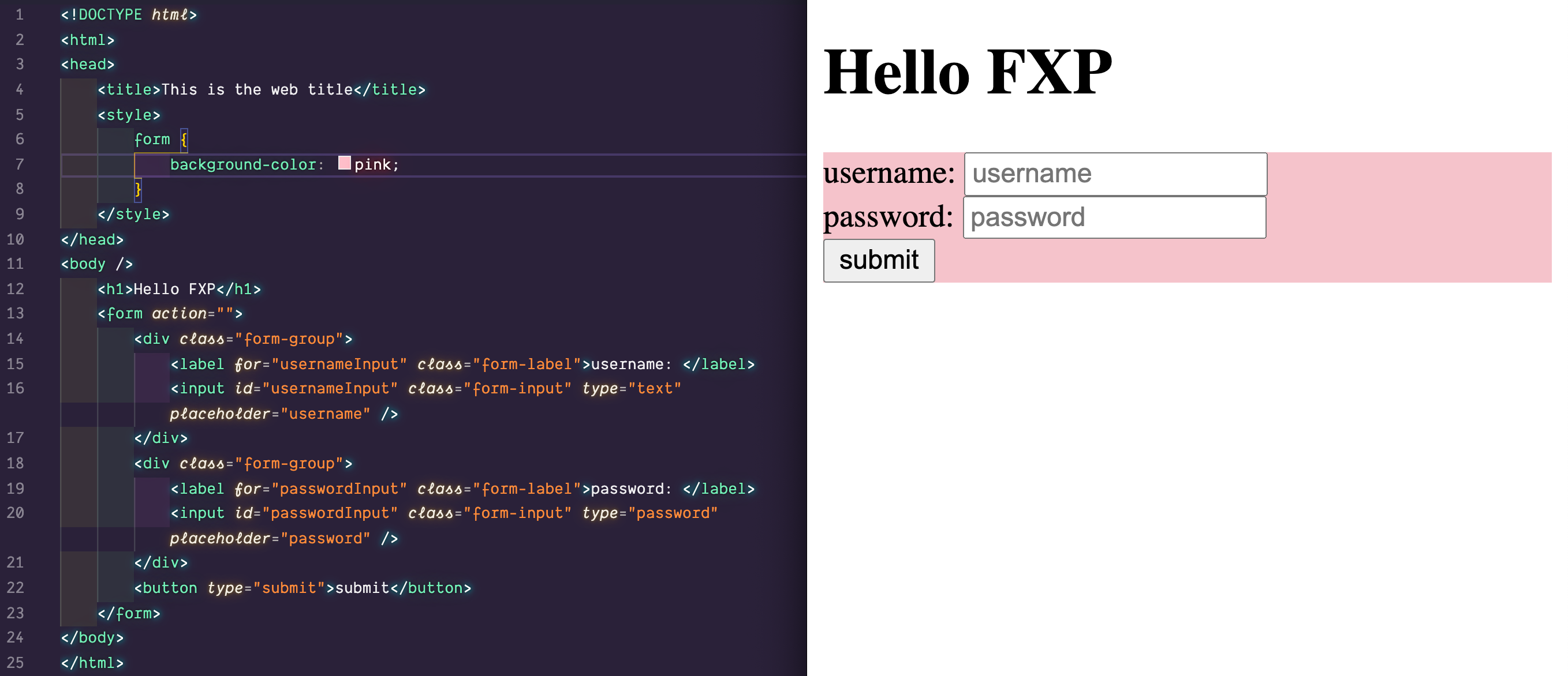 CSS עיצוב טופס בסיסי - FXP