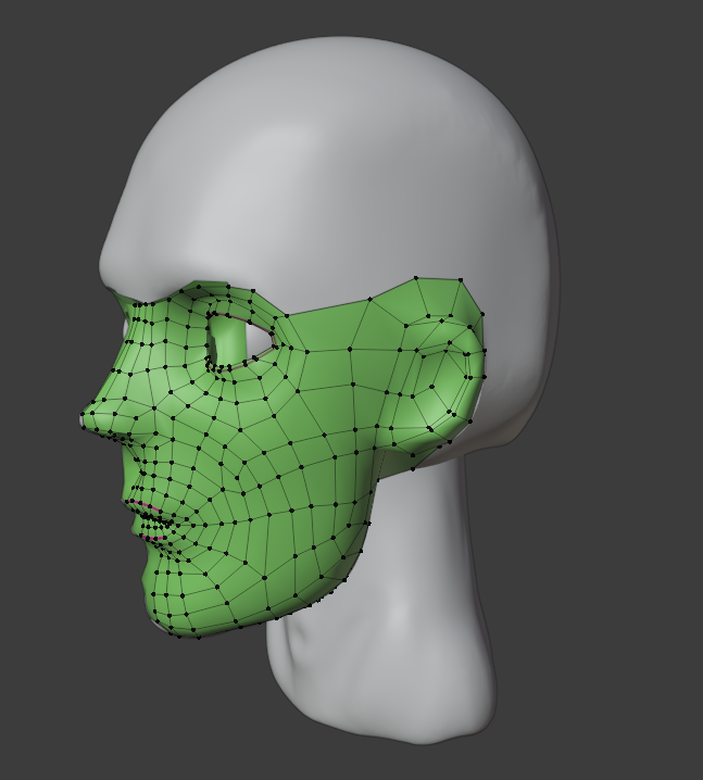 Head Retopology - FXP