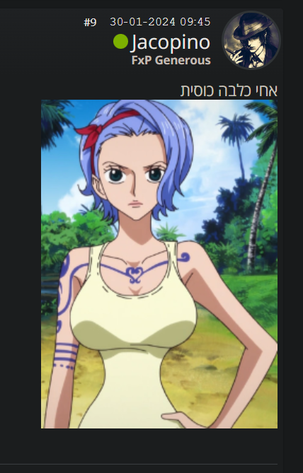 הארקים האהובים שמינית הגמר #5 | Wano VS Arlong Park - FXP