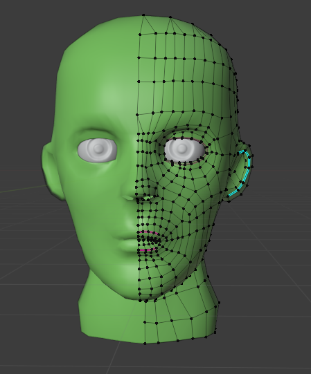 Head Retopology - FXP