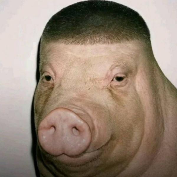 כמה סטים וחזרות אתם עושים בשבוע לשריר? האם אתם עובדים עד כשל? - FXP