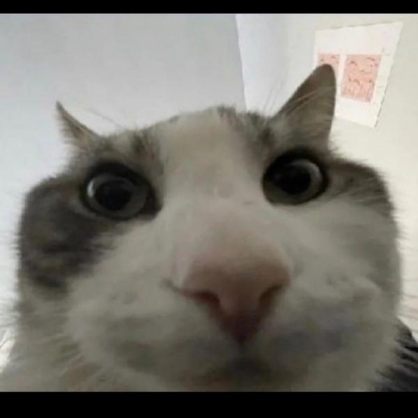 זוהרן מאמדאני עם דמעות בעיניים נותן נאום על איסלאמופוביה באמריקה - FXP