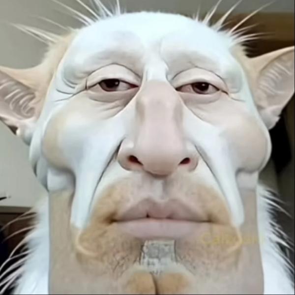 איסוף קרבי - FXP