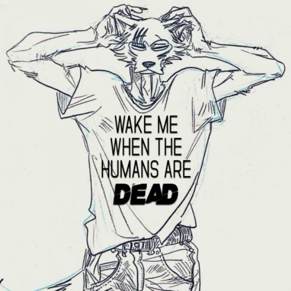 מה דעתכם על סוגוי מלך המכולת? - FXP