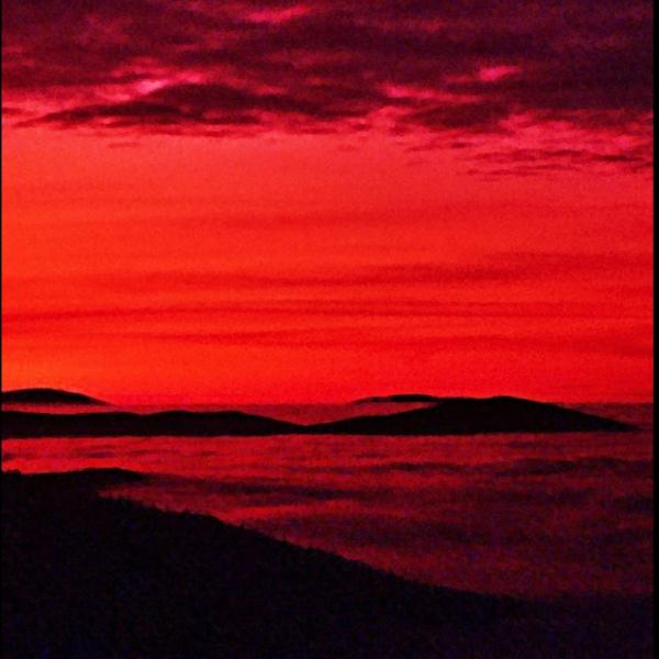 איך הסרט הסנדק 1 ? - 2 - FXP